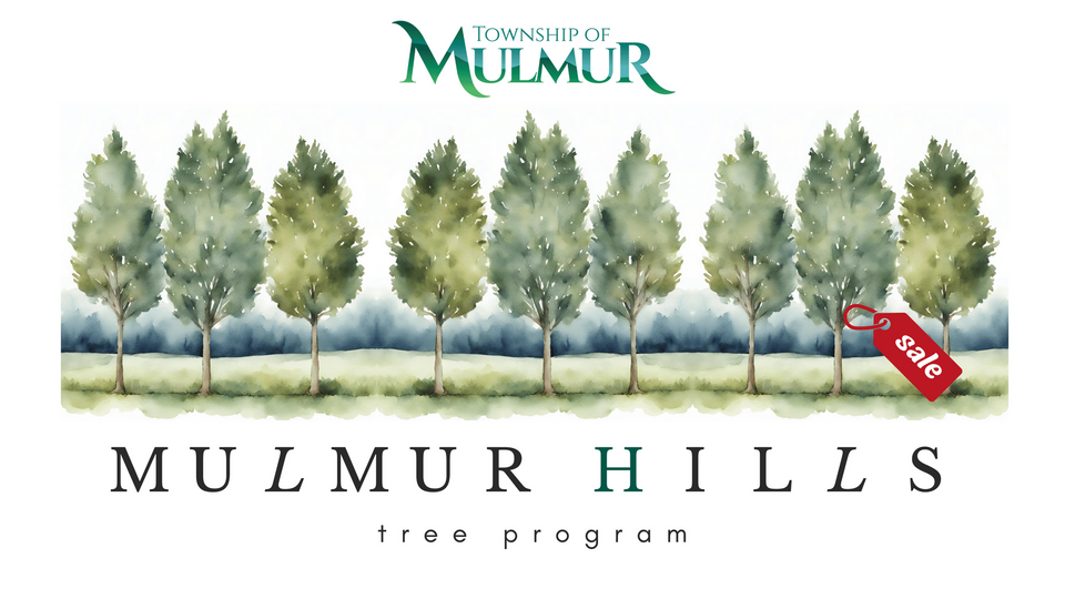 Township of Mulmur